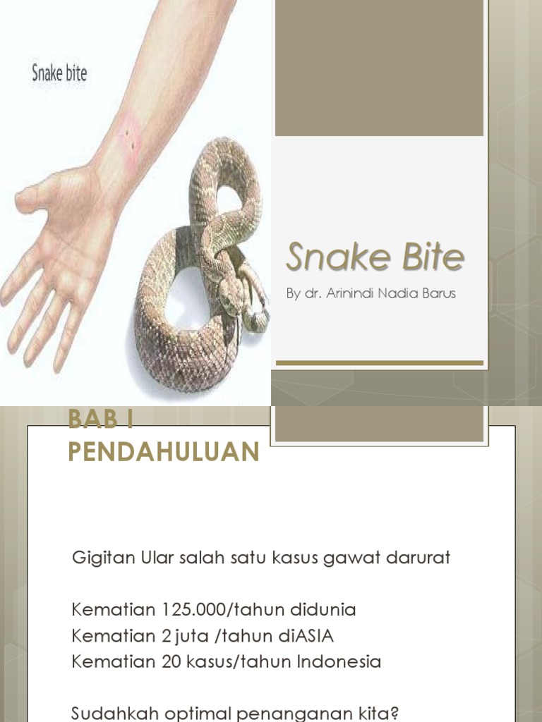 Luka Gigitan Ular | PDF