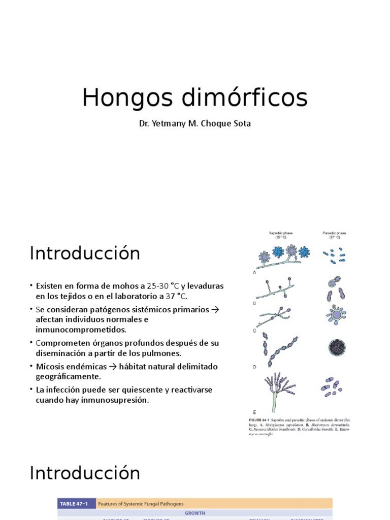 Hongos Dimórficos | PDF | Medicina Veterinaria | Enfermedades animales