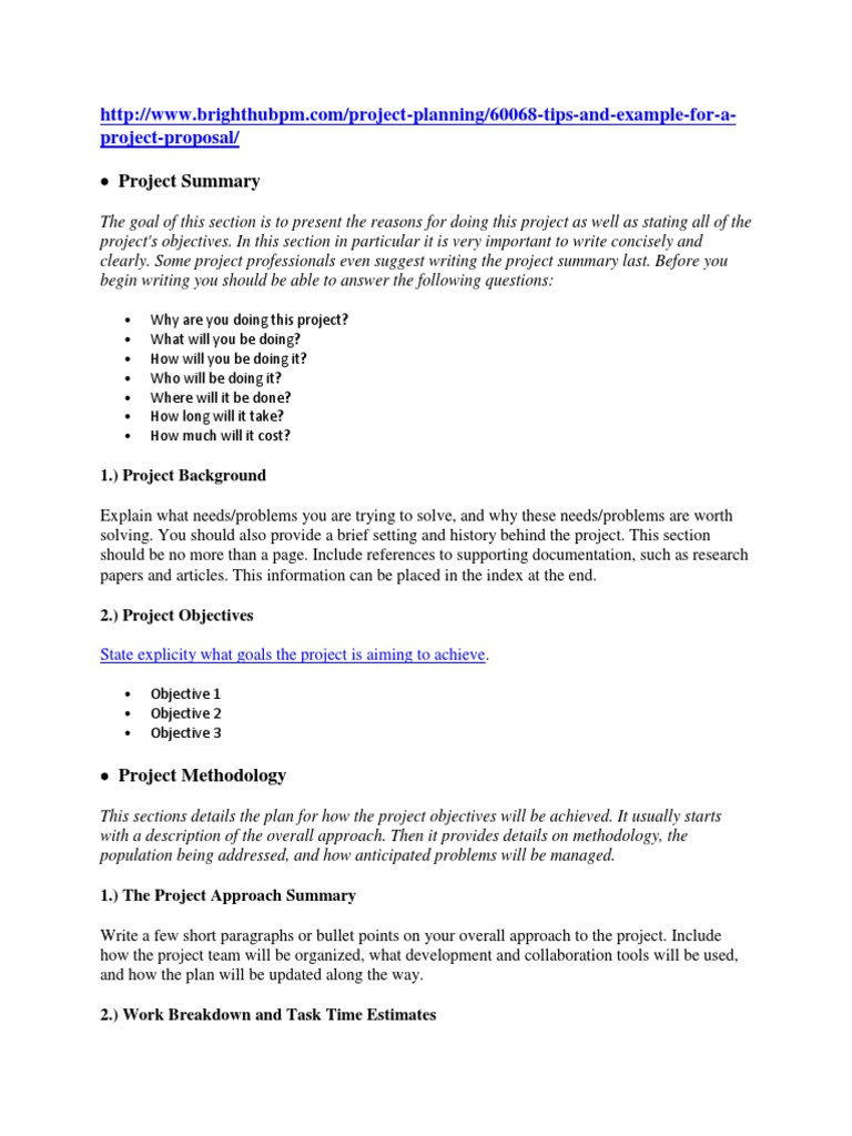 Project Proposal Example | PDF | Risk | Risk Management