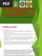 Simbolos y Distintintivos de La PNP | PDF