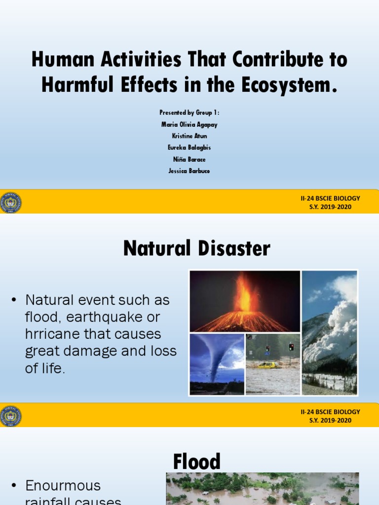 Human Activities That Contribute To Harmful Effects in The Ecosystem ...