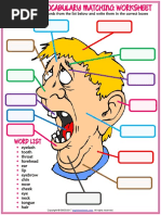 Cavy Body Parts | PDF