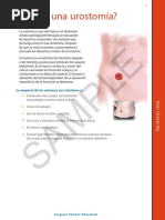 ESCALA DE ARMSTRONG (Todas Las Cat) | PDF