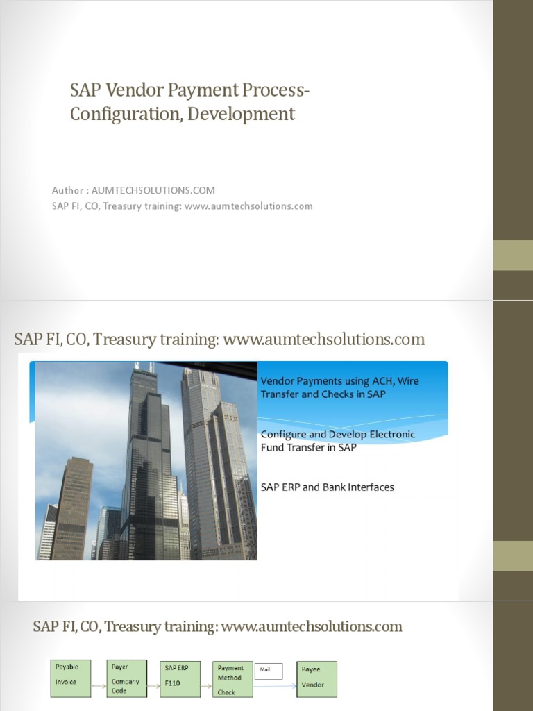 SAP Payment Process and Configuration | PDF | Payments | Wire Transfer
