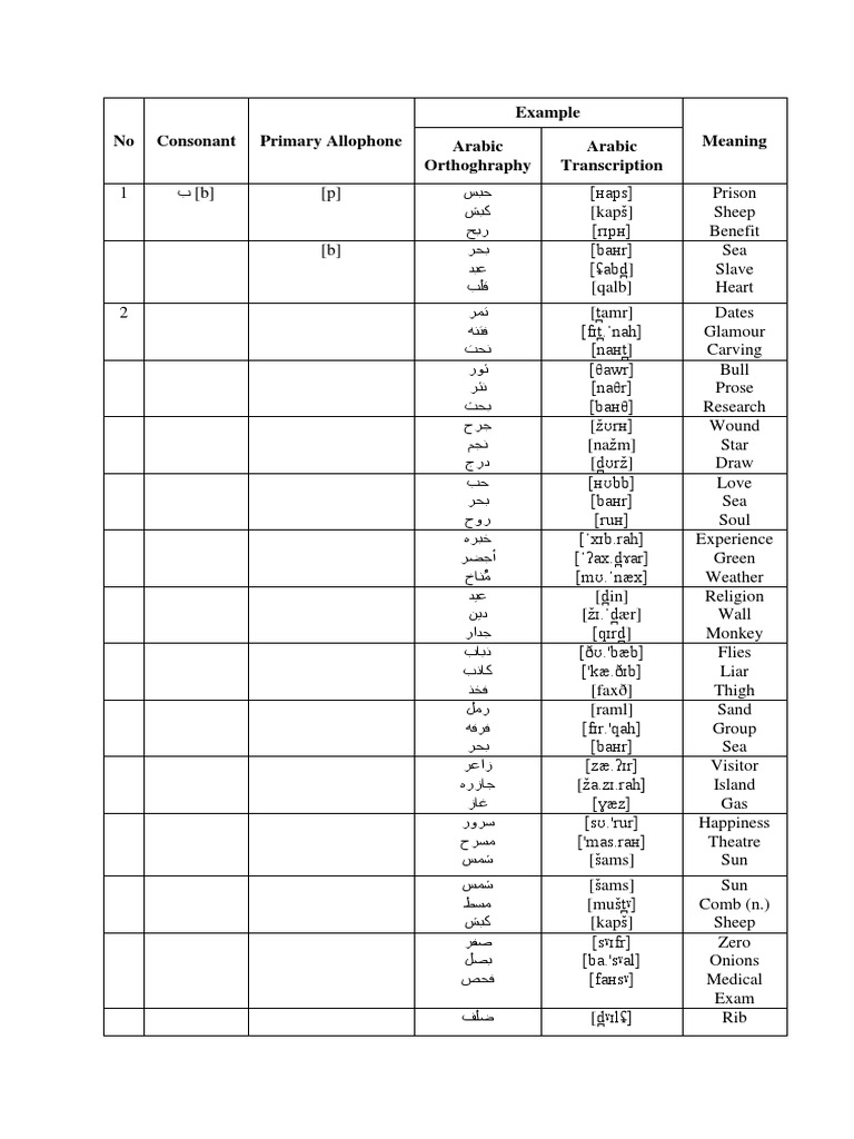 Arabic Consonants | PDF | Phonology | Human Voice