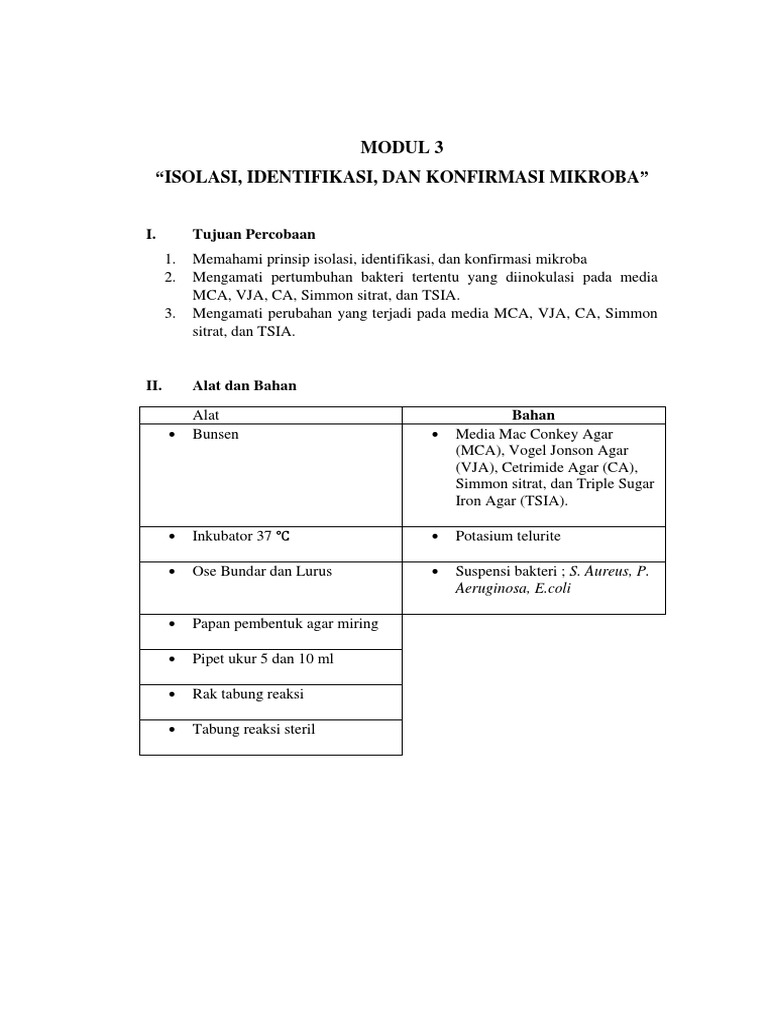 Laporan Mikrobiologi Modul 3 | PDF | Sains & Matematika