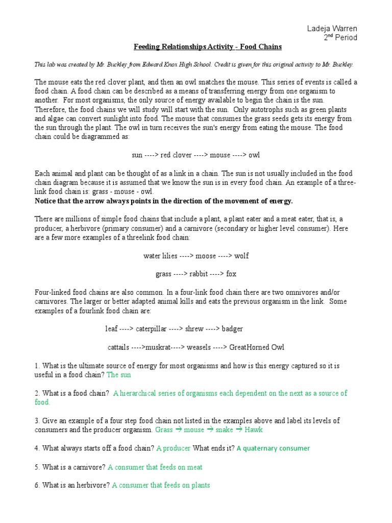 Feeding Relationships Activity | PDF | Food Web | Biomass (Ecology)