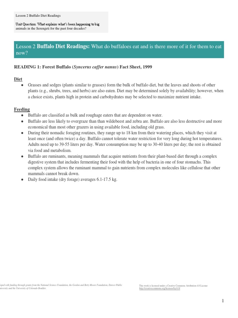 Lesson 2: Buffalo Diet Readings: What Do Buffaloes Eat and Is There ...