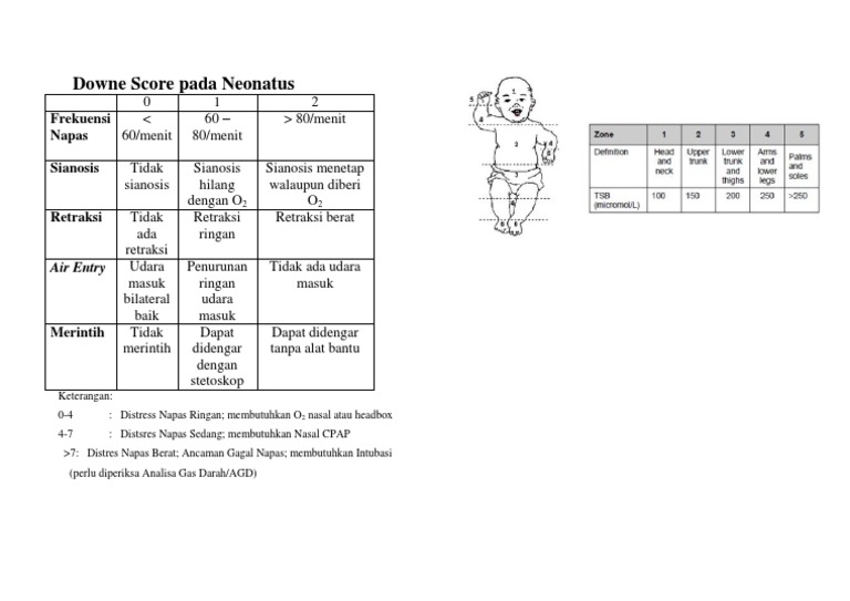 Down Score Pada Neonatus | PDF