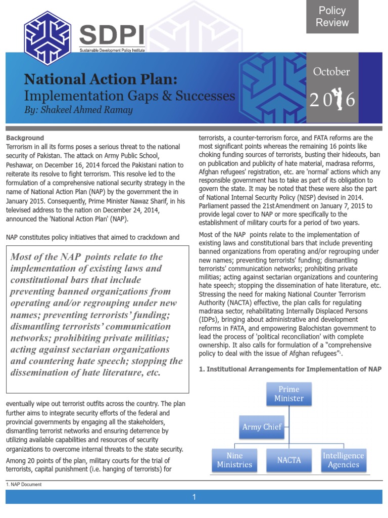 National Action Plan Implementation Gaps and Successes | PDF | Counter ...