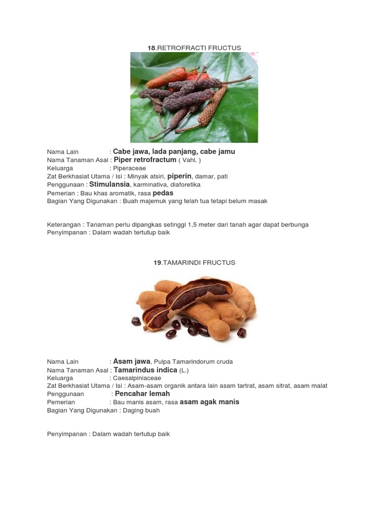 Konosi | PDF