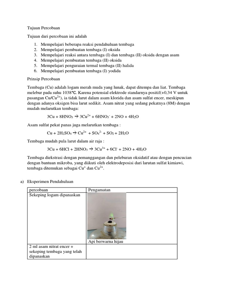 Reaksi dan Sintesis Tembaga Nitrat | PDF