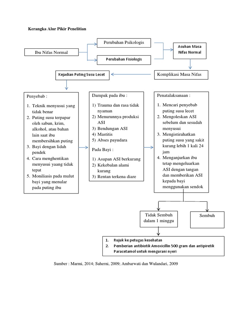 Kerangka Alur Pikir Penelitian | PDF