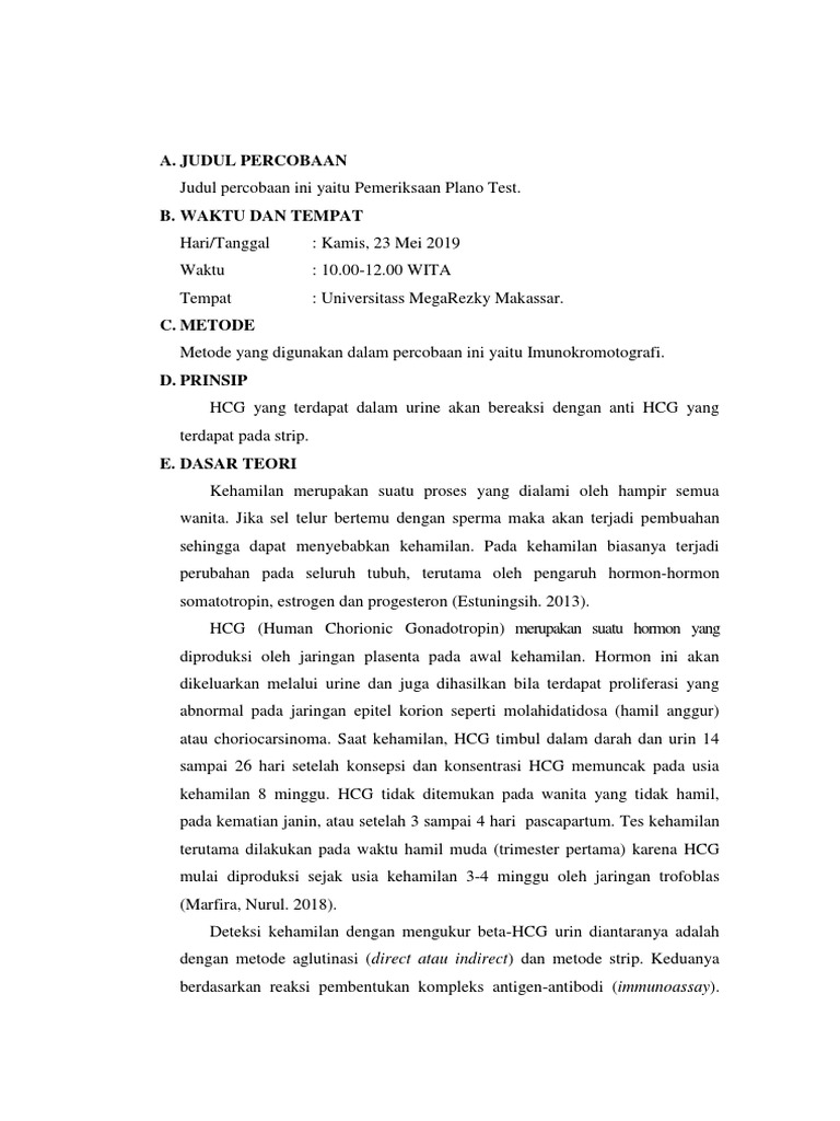 Hasil Pemeriksaan Plano Test Kehamilan | PDF | Kesehatan Holistik