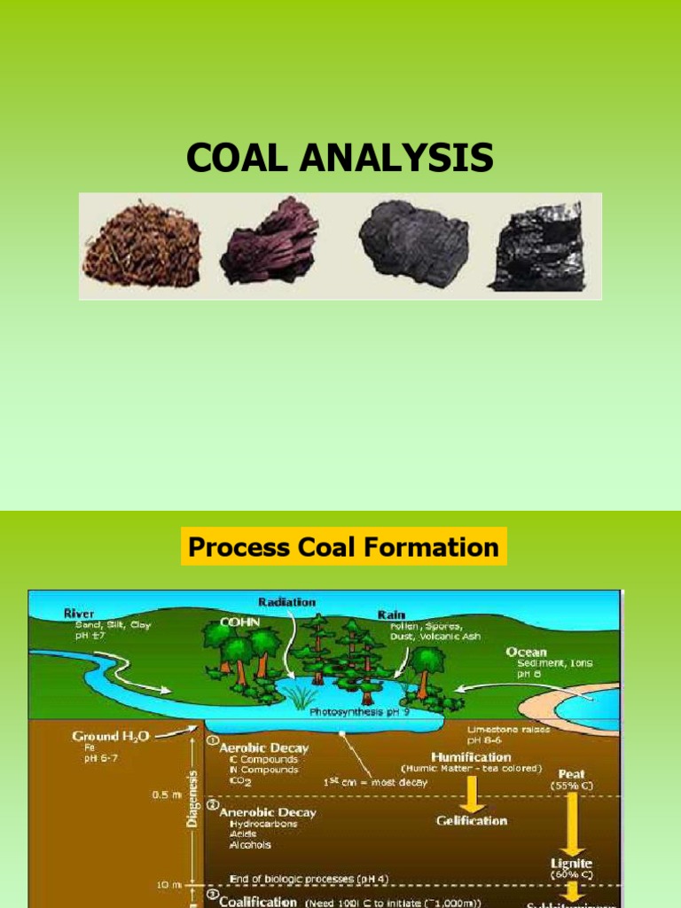 Comprehensive Coal Analysis Techniques | PDF | Bituminous Coal | Lignite