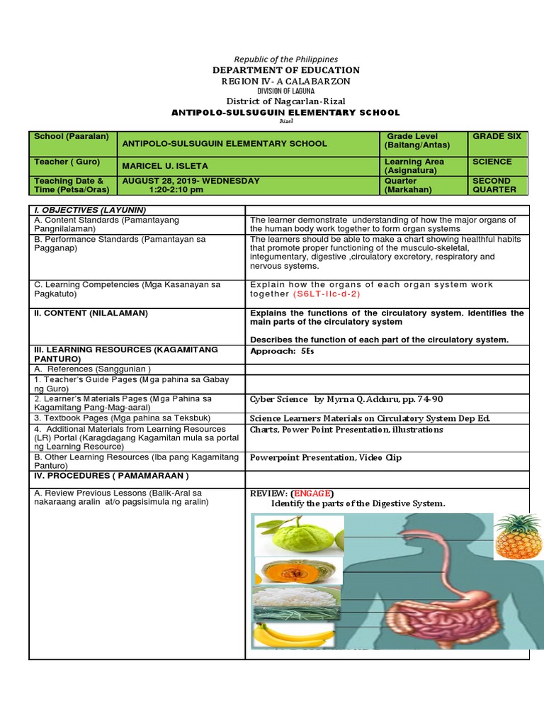 Second Cot Science Six | PDF | Circulatory System | Blood