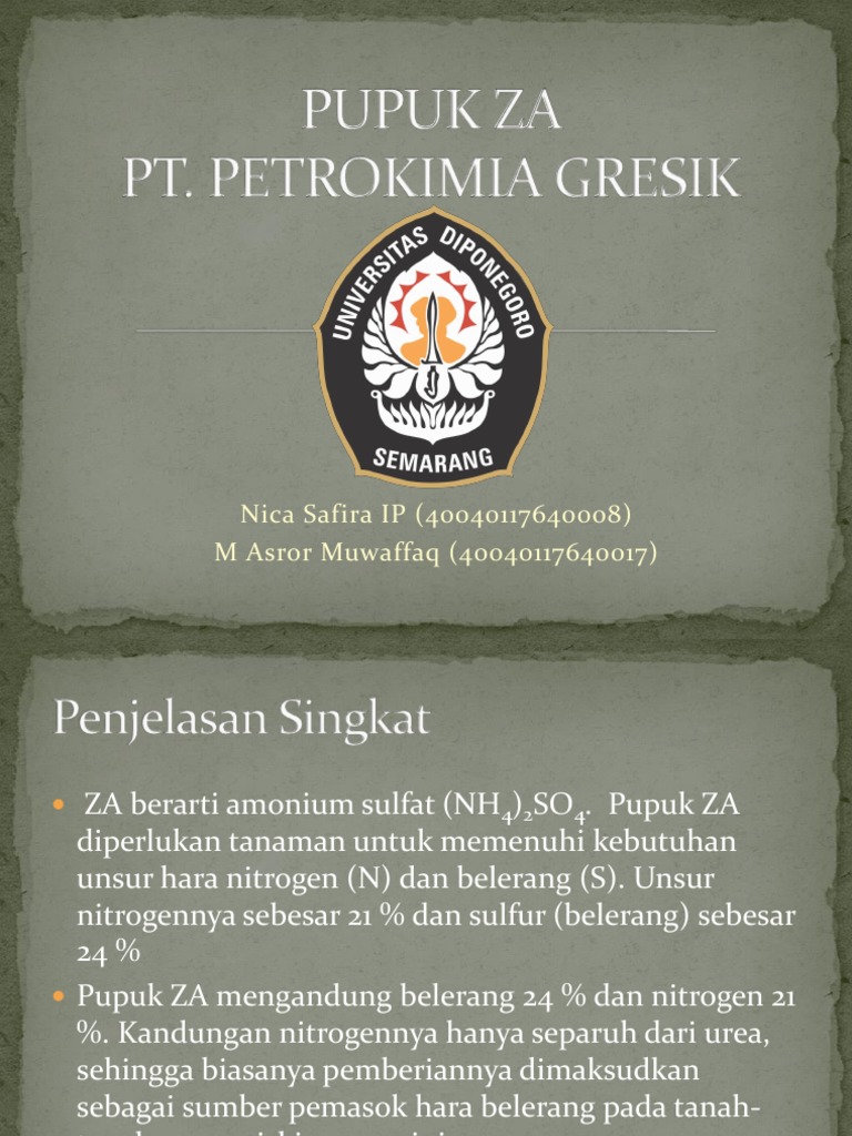 Kelompok 2-Pupuk Za Petrokimia Gresik | PDF