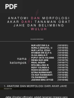 Morfologi Dan Anatomi Bunga Sepatu | PDF