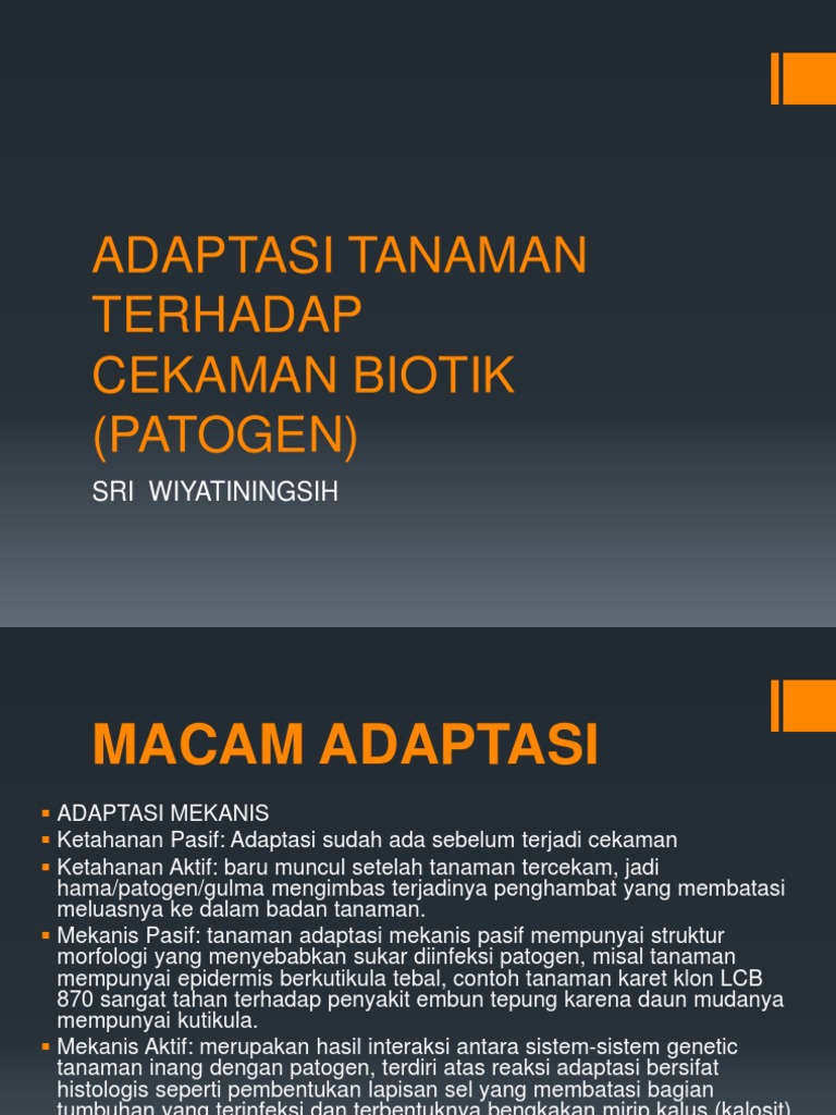 Adaptasi Tanaman Terhadap-1 | PDF