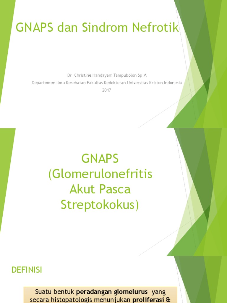 GNAPS & SN (Des 2019) | PDF | Pengembangan Diri | Kesehatan Holistik