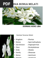 Daftar Nama Nama Simplisia 40 | PDF