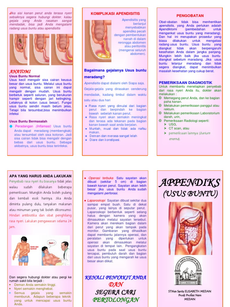 Leaflet Appendicitis | PDF