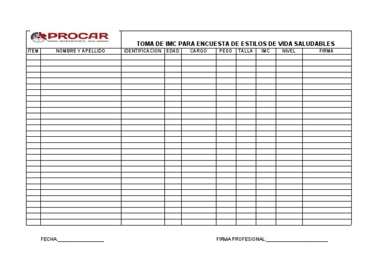 Formato Imc PDF | PDF