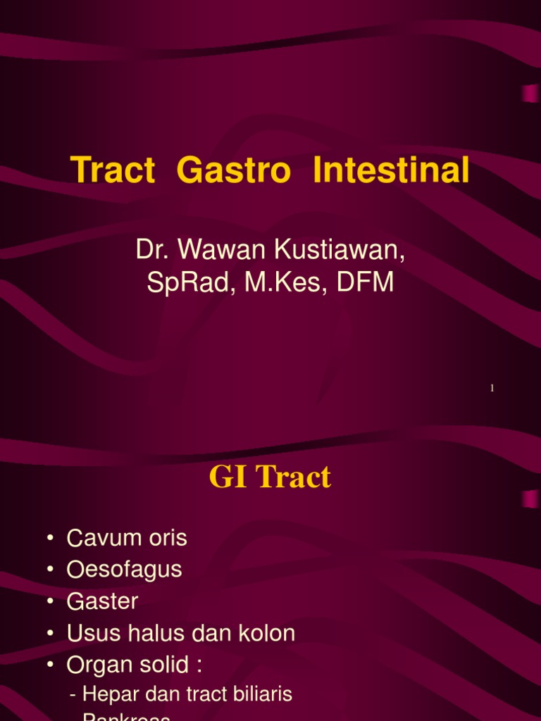 Tract Gastro Intestinal | PDF