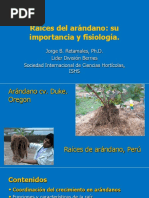 Estados Fenológicos Arándano | PDF | Ramas de la botánica | Botánica