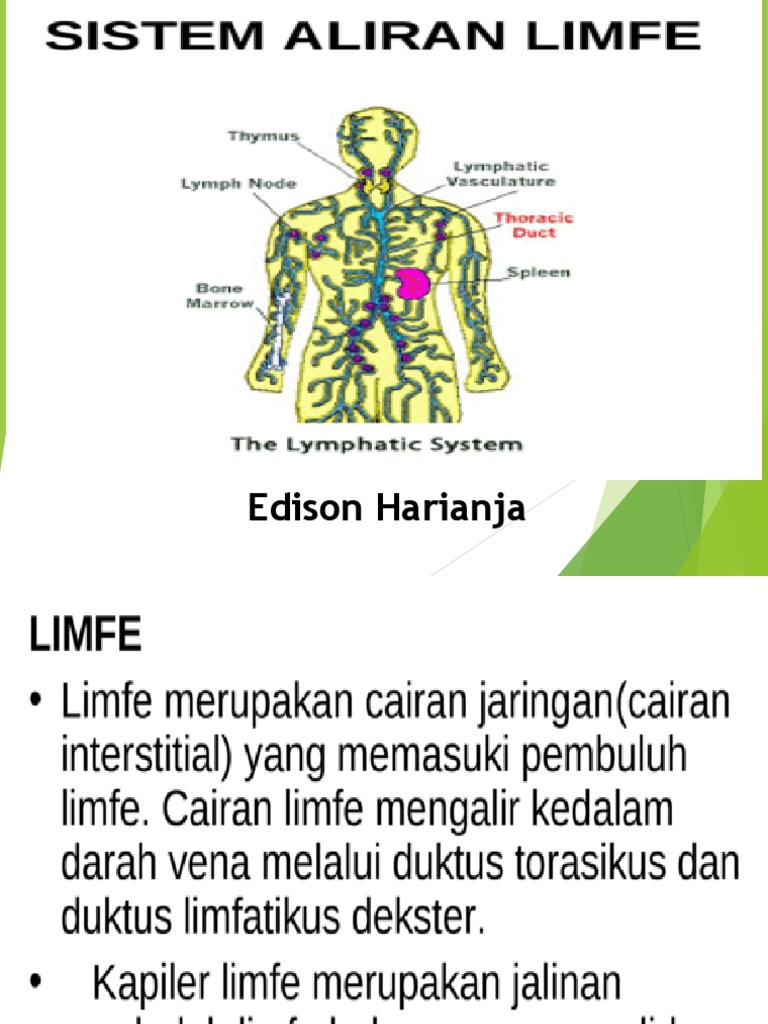 STRUKTUR DAN FUNGSI SISTEM LIMFATIK | PDF STRUKTUR DAN FUNGSI SISTEM LIMFATIK | PDF