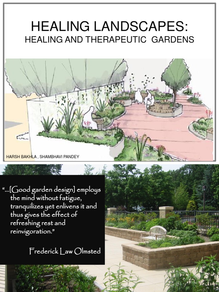 Healing Landscapes | PDF | Gardens | Disability