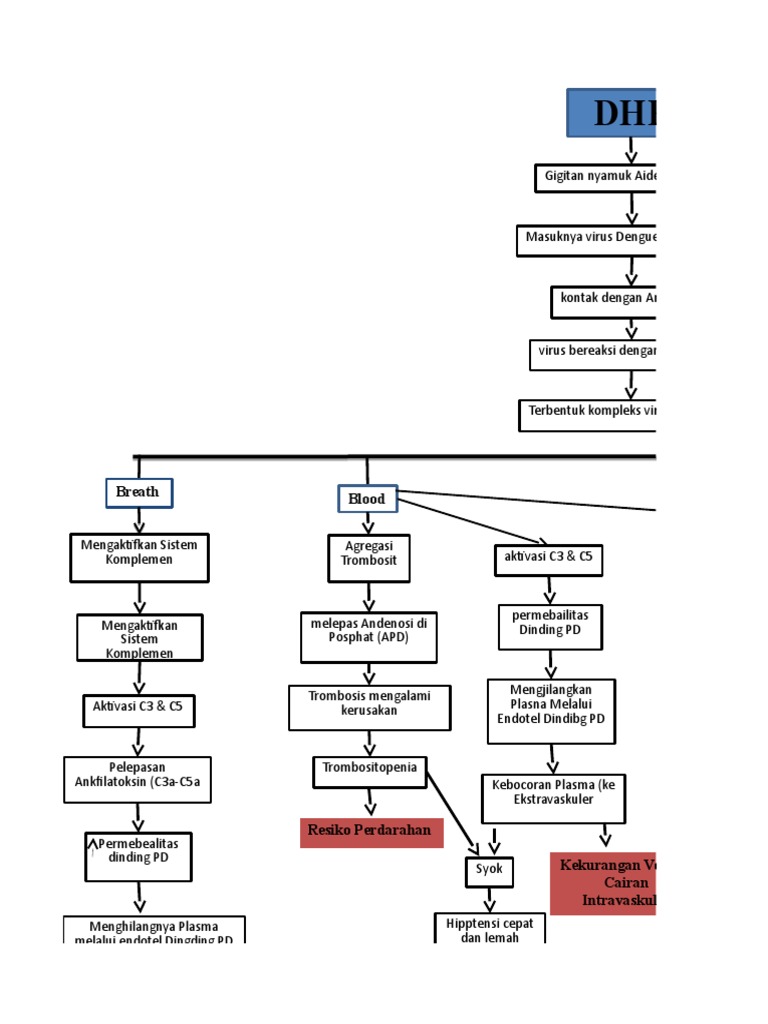 Mind Mapping DHF | PDF