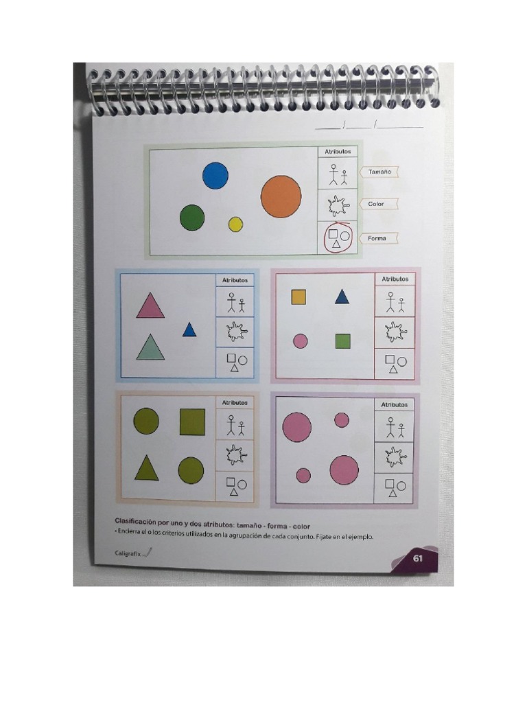 Ficha de Clasificacion Por Uno o Dos Atributos | PDF