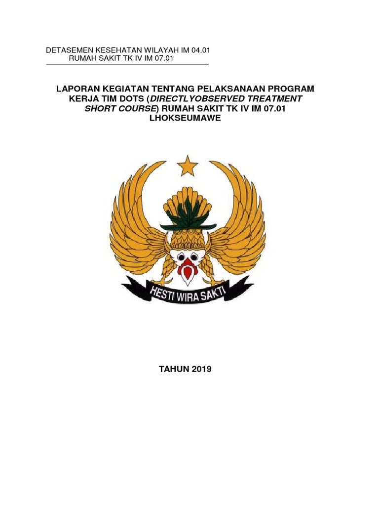 Laporan Kegiatan Pelaksanaan Program Kerja Tim TB Dots | PDF