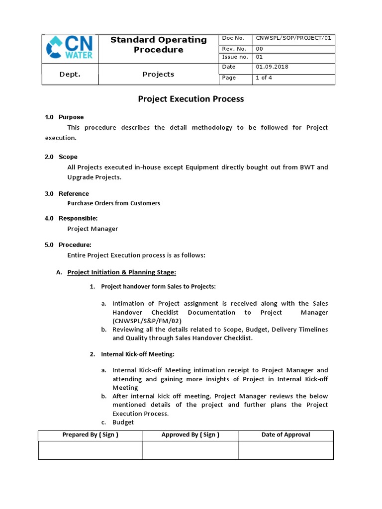Project Execution Standard Procedure | PDF | Project Manager | Business