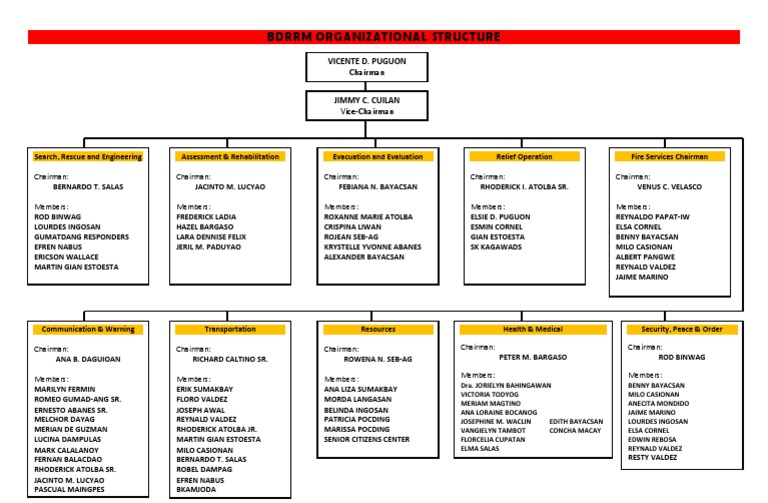 BDRRM organizational chart with disaster response committees | PDF