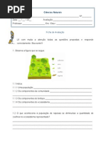 FT - Modelado Carsico | PDF | Geociências | Rochas