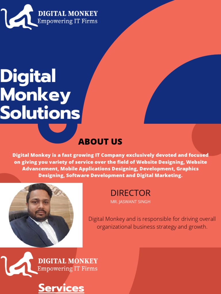 Digital Monkey Solutions | PDF | Search Engine Optimization | Web Traffic