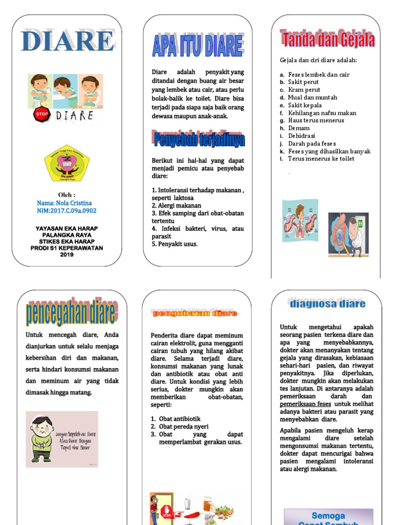 Leaflet Diare | PDF