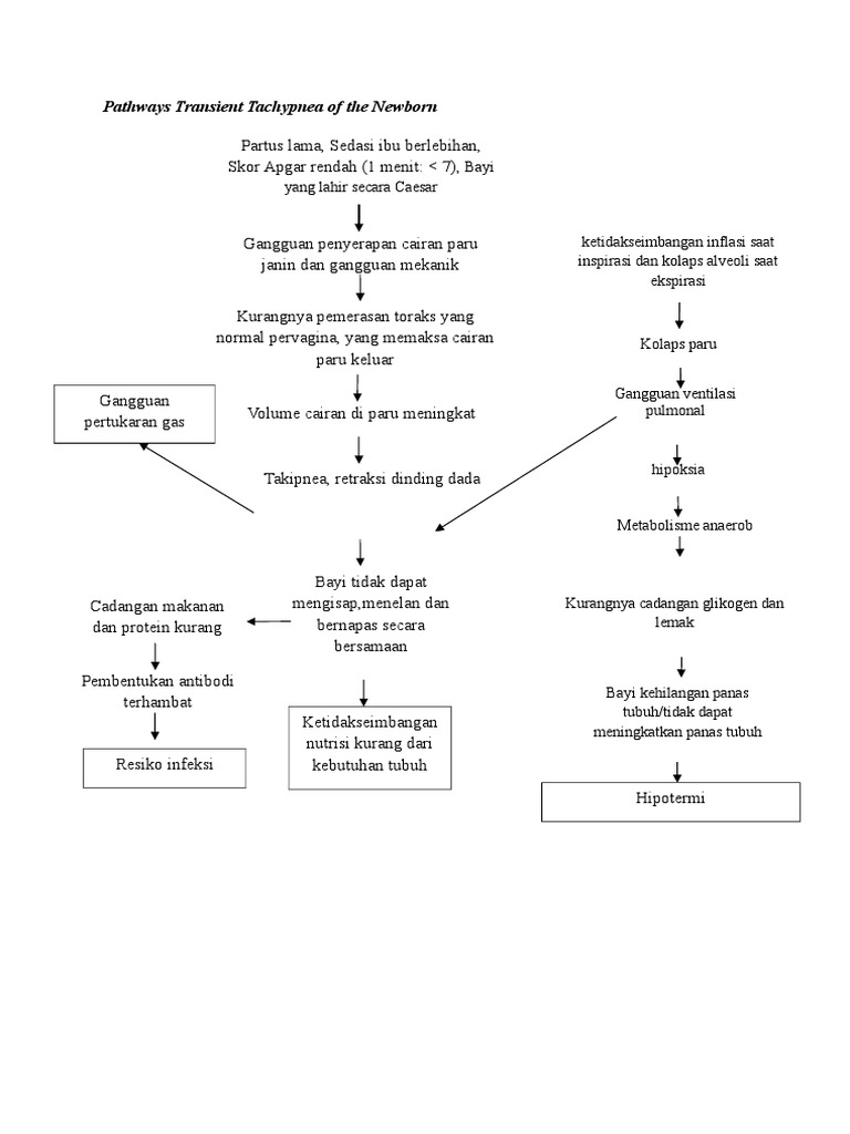 Pathway TTN Fix | PDF
