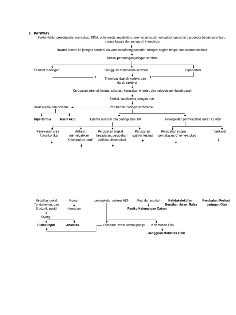 PATHWAY Meningitis | PDF