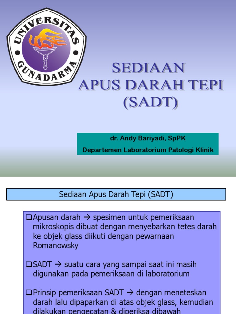 SADT Dan Diff Count | PDF