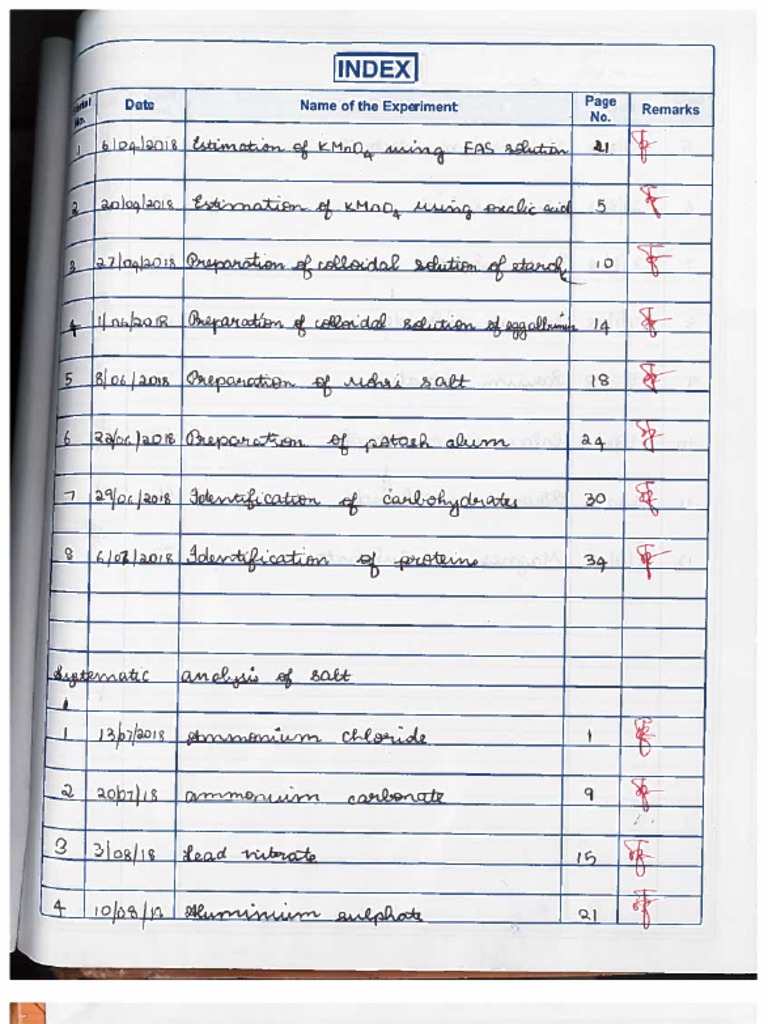 Chemistry Record Class 12 | PDF