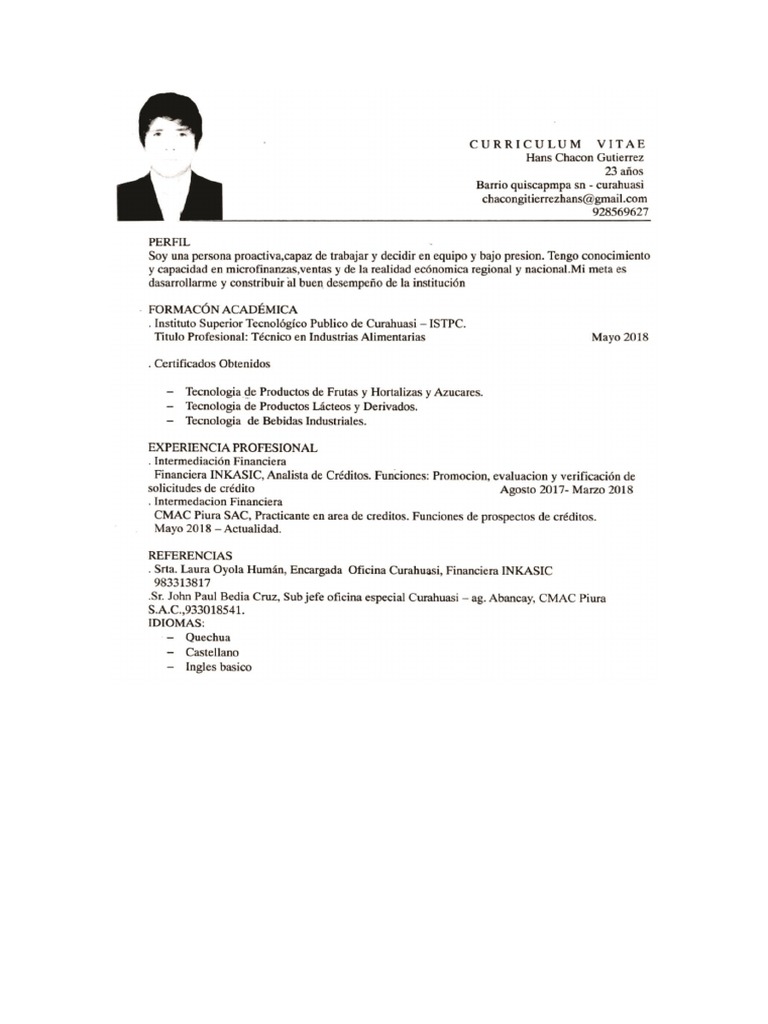 CV Hans PDF | PDF