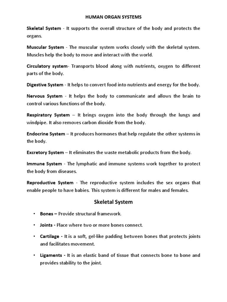 Grade 6 Human System Notes | PDF | Human Body | Human Digestive System
