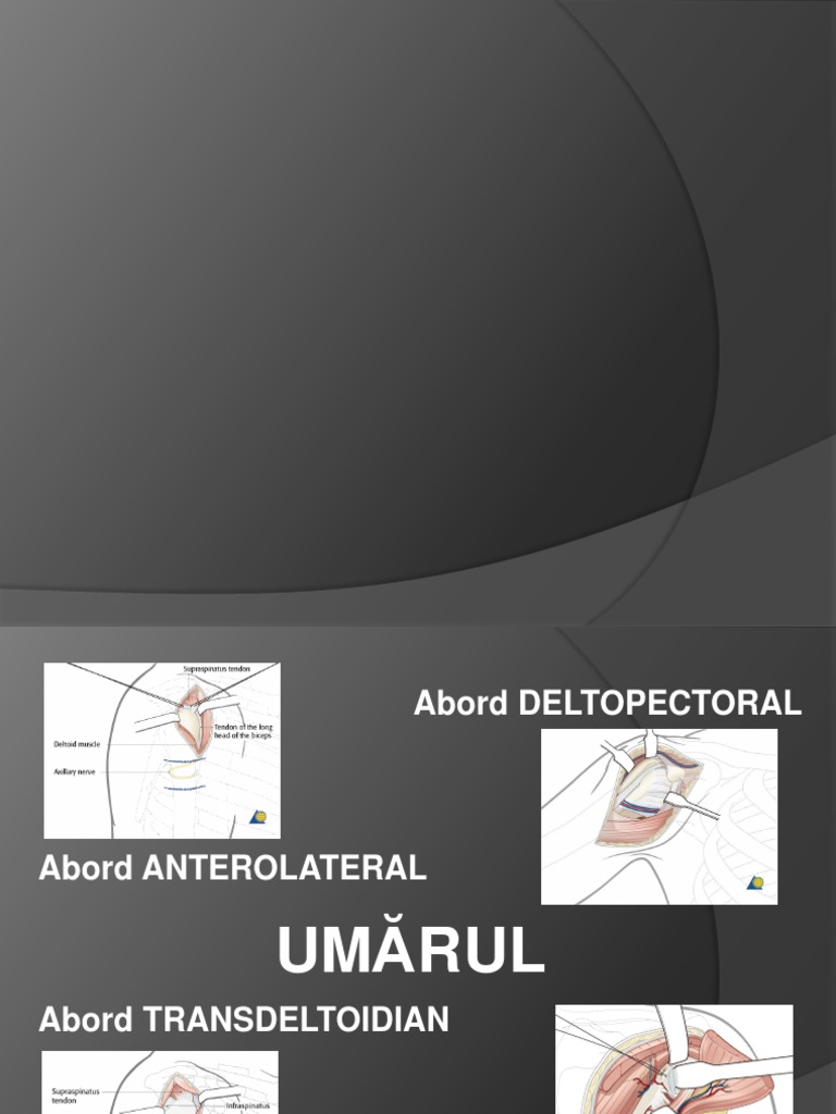 ANTEROLATERAL Shoulder Aproach | PDF