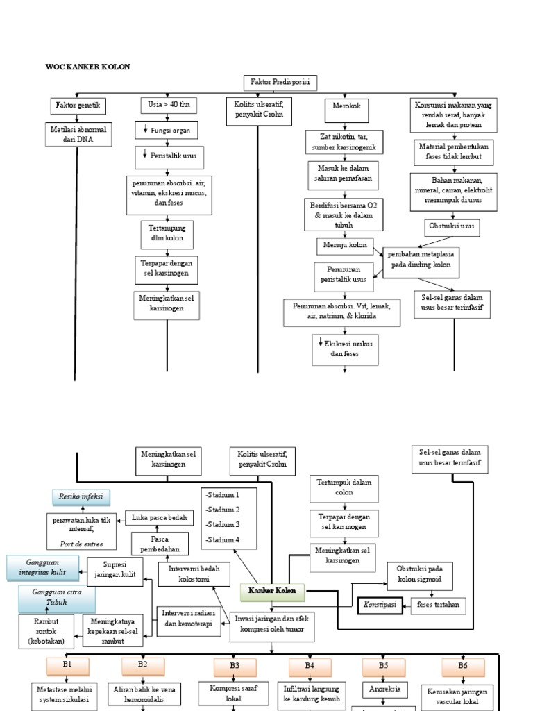 Woc Ca Colon Cempaka | PDF
