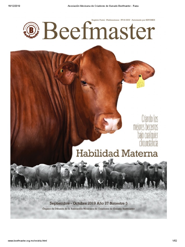 Criadores de Ganado Beefmaster en México | PDF
