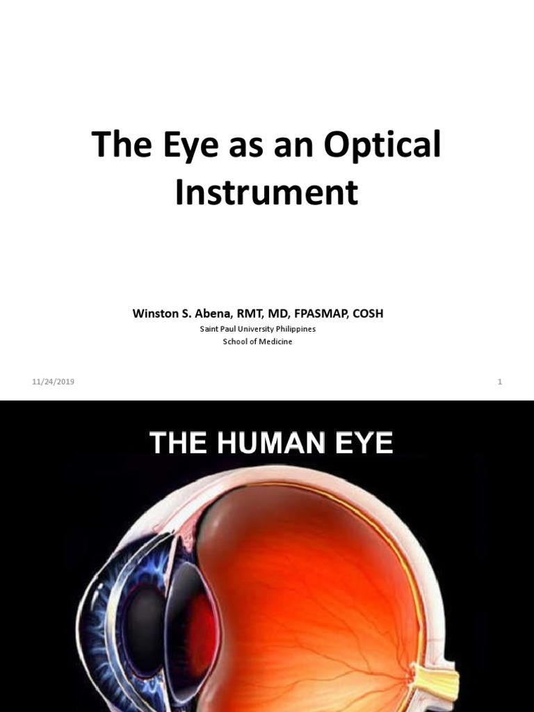 The Eye | PDF | Eye | Visual Acuity