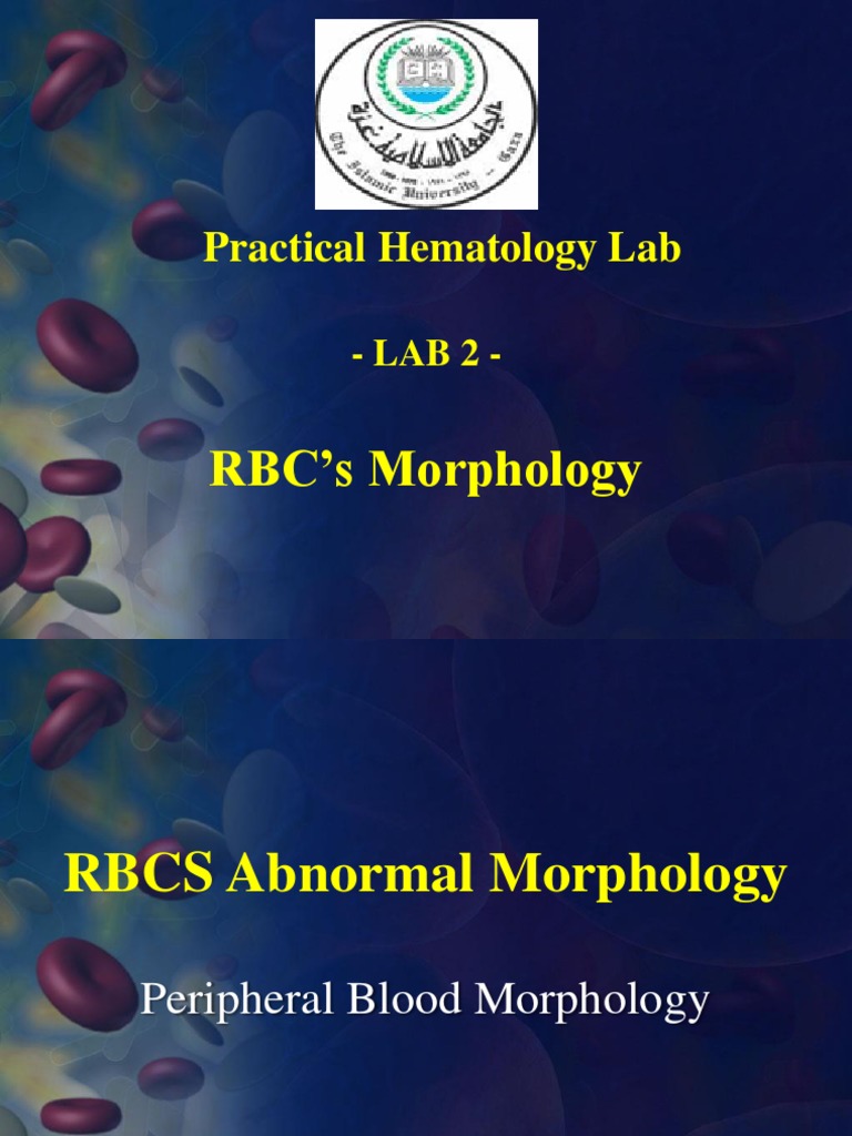 3 Red Blood Cells Morphology | PDF | Anemia | Red Blood Cell